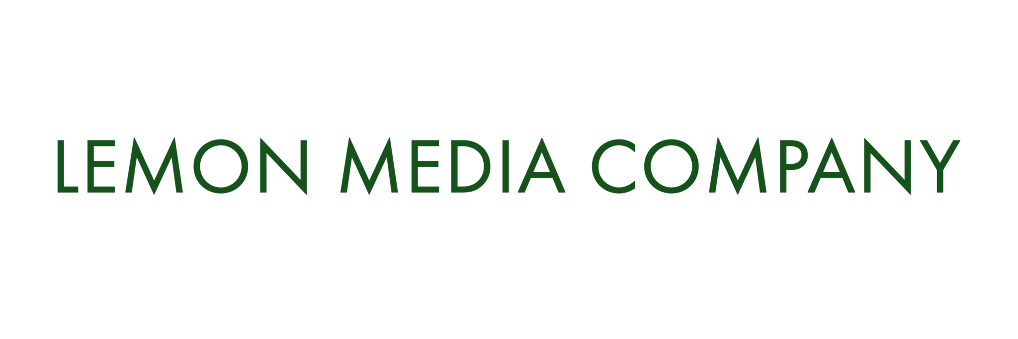 Lemon Media Company | Marketing Agency